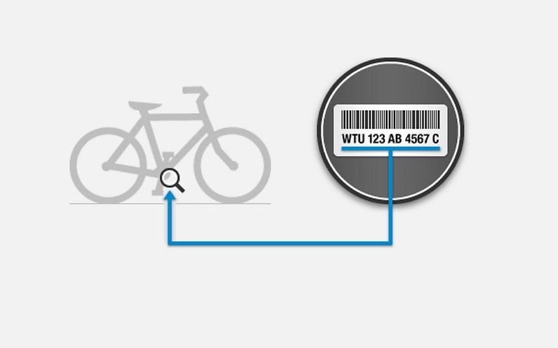 Decode Your Bike: Finding The VIN, Chassis, And Engine Numbers | E ...